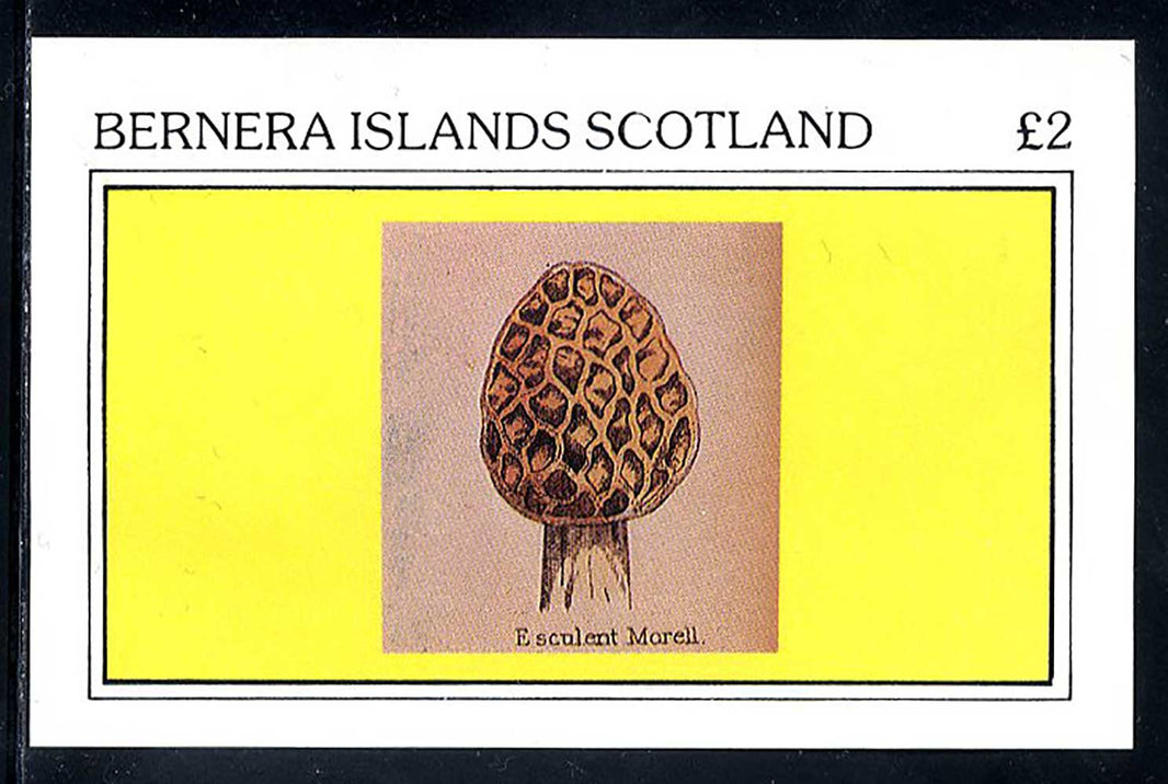 Bernera 1-100 – Subway Stamp Shop Inc